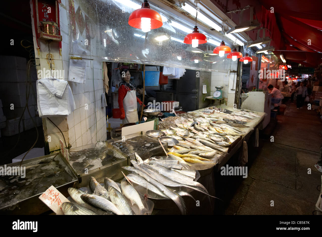 fresh fish seafood stall in an outdoor market in mong kok district ...