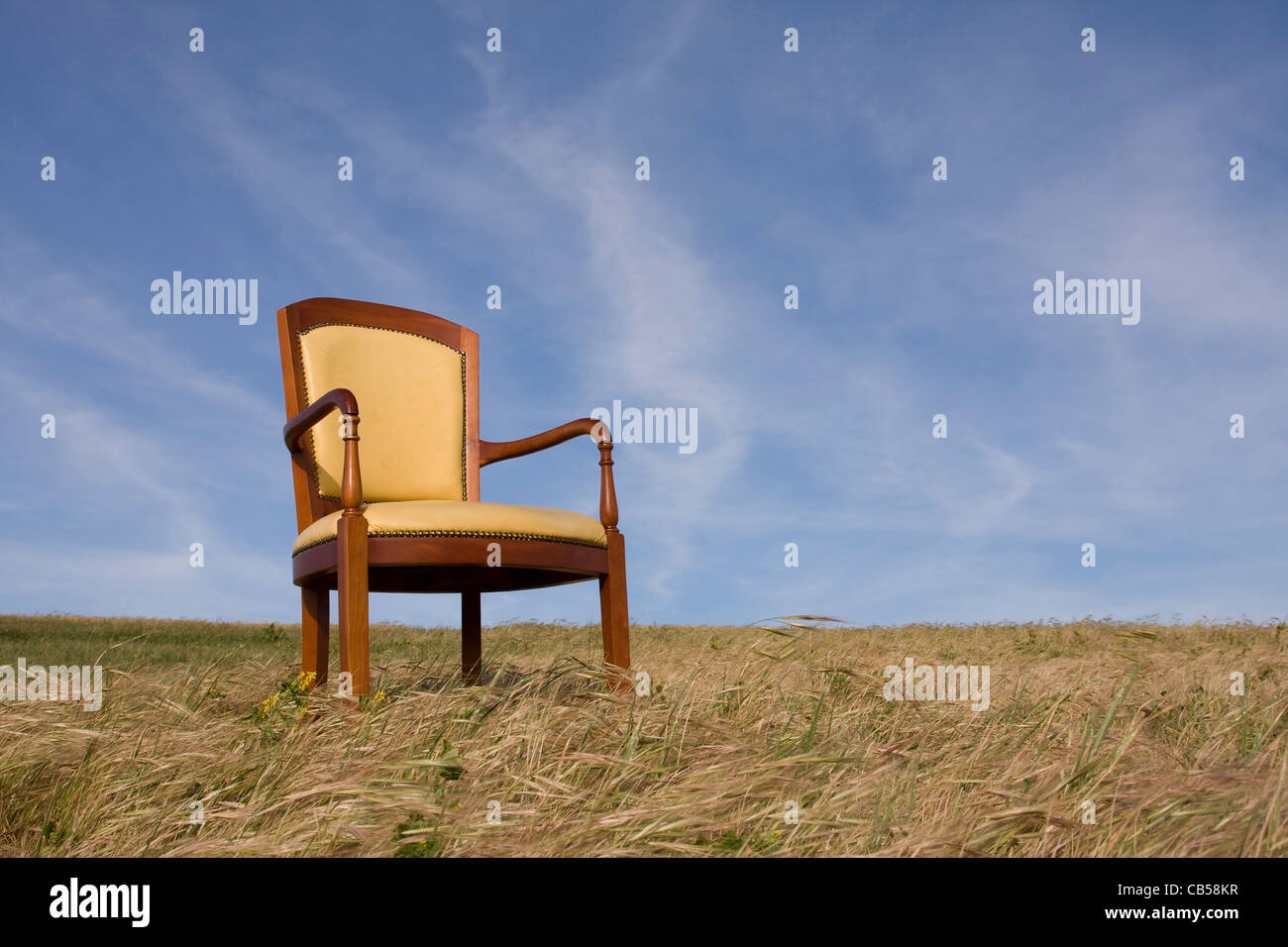 empty chair outside at the grass field Stock Photo - Alamy