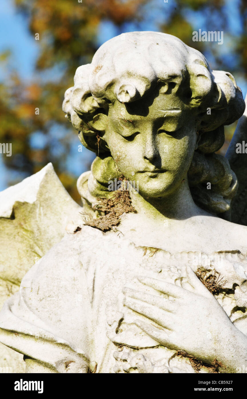 Angel beauty woman autumn hi-res stock photography and images - Alamy