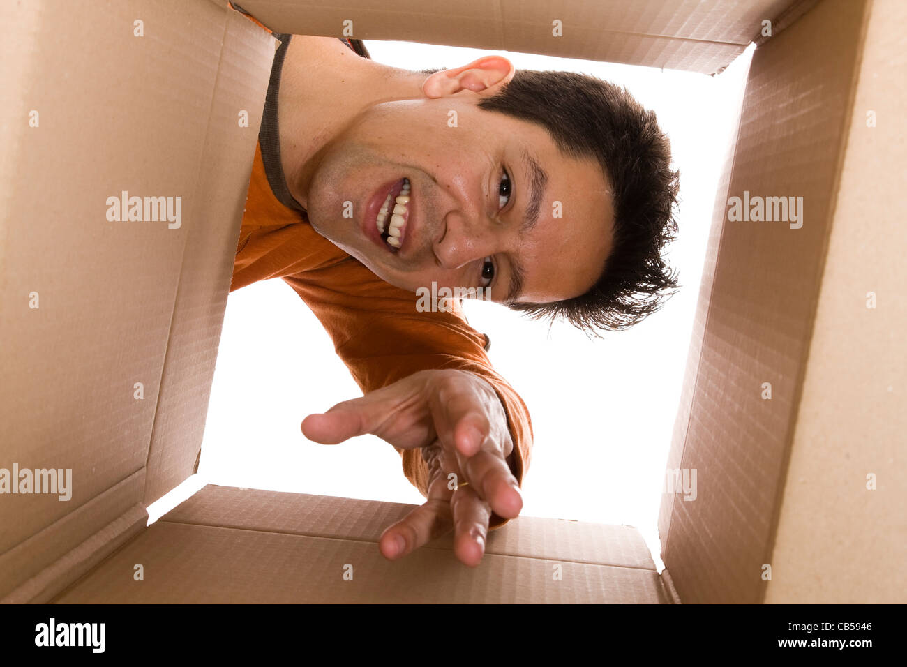 young men reaching something inside a cardboard box Stock Photo - Alamy