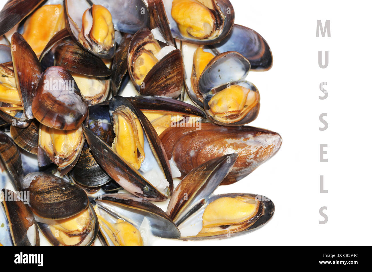 Mussels isolated on white background Stock Photo - Alamy