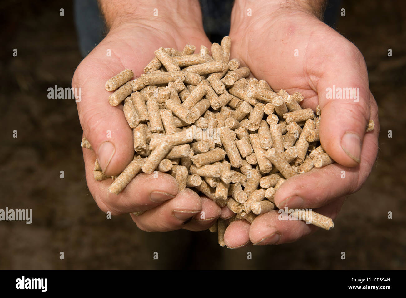 Food pellets for feeding pigs Stock Photo - Alamy