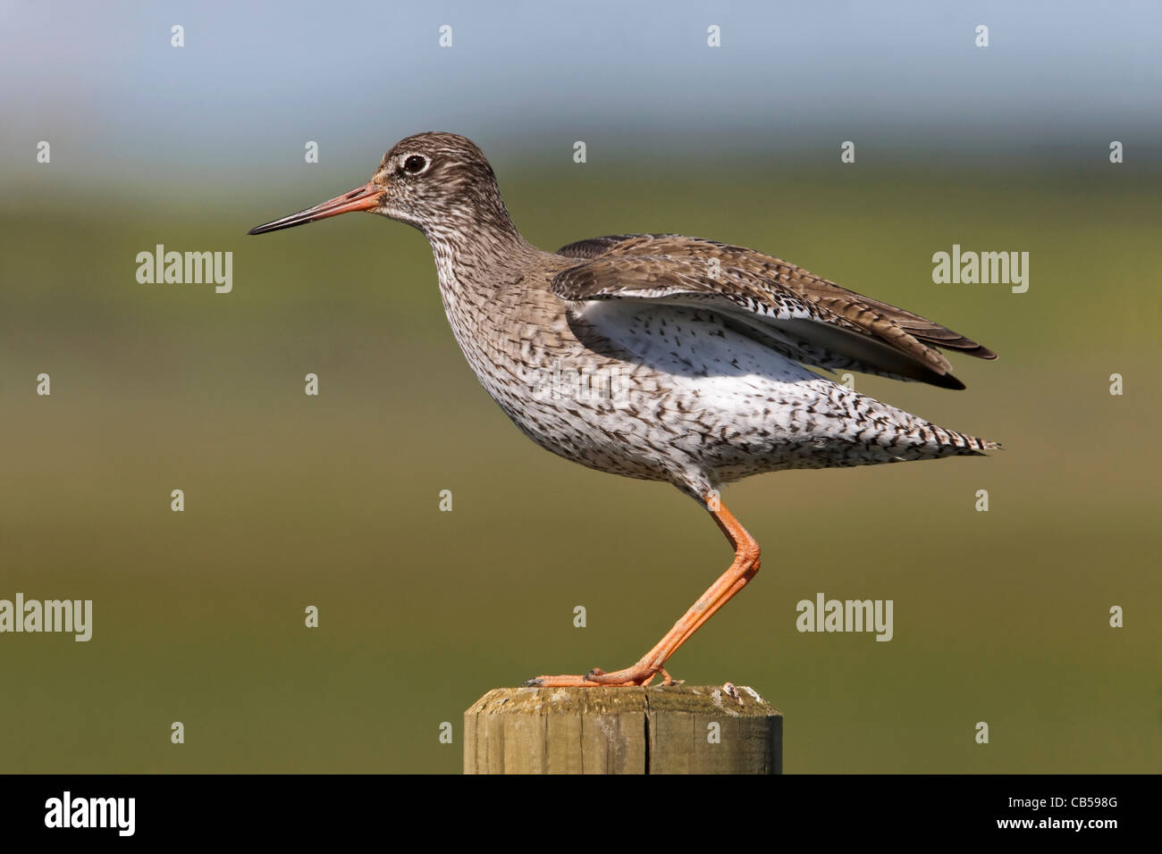 Guard Post High Resolution Stock Photography and Images - Alamy