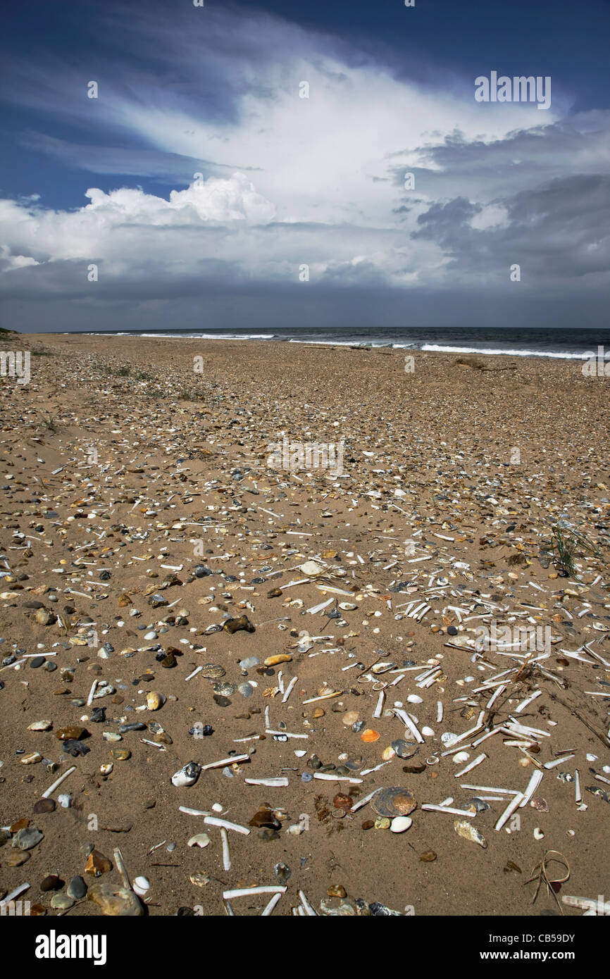 The foreshore of Scolt Head National nature reserve - Norfolk -England ...