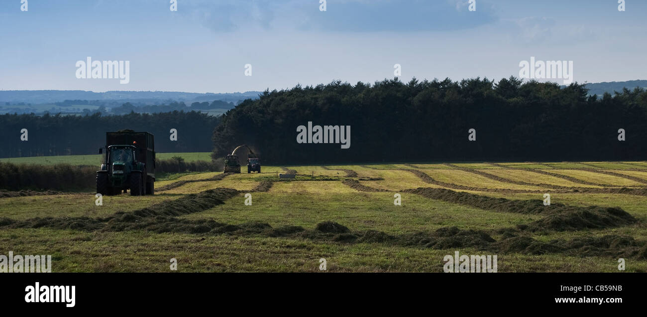 Swynnerton hi-res stock photography and images - Alamy