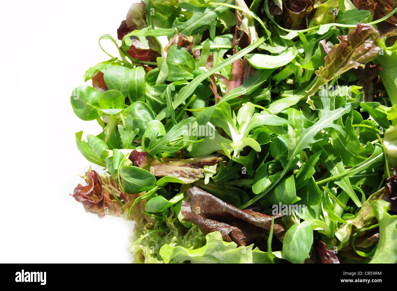 Salad mix isolated against white Stock Photo - Alamy