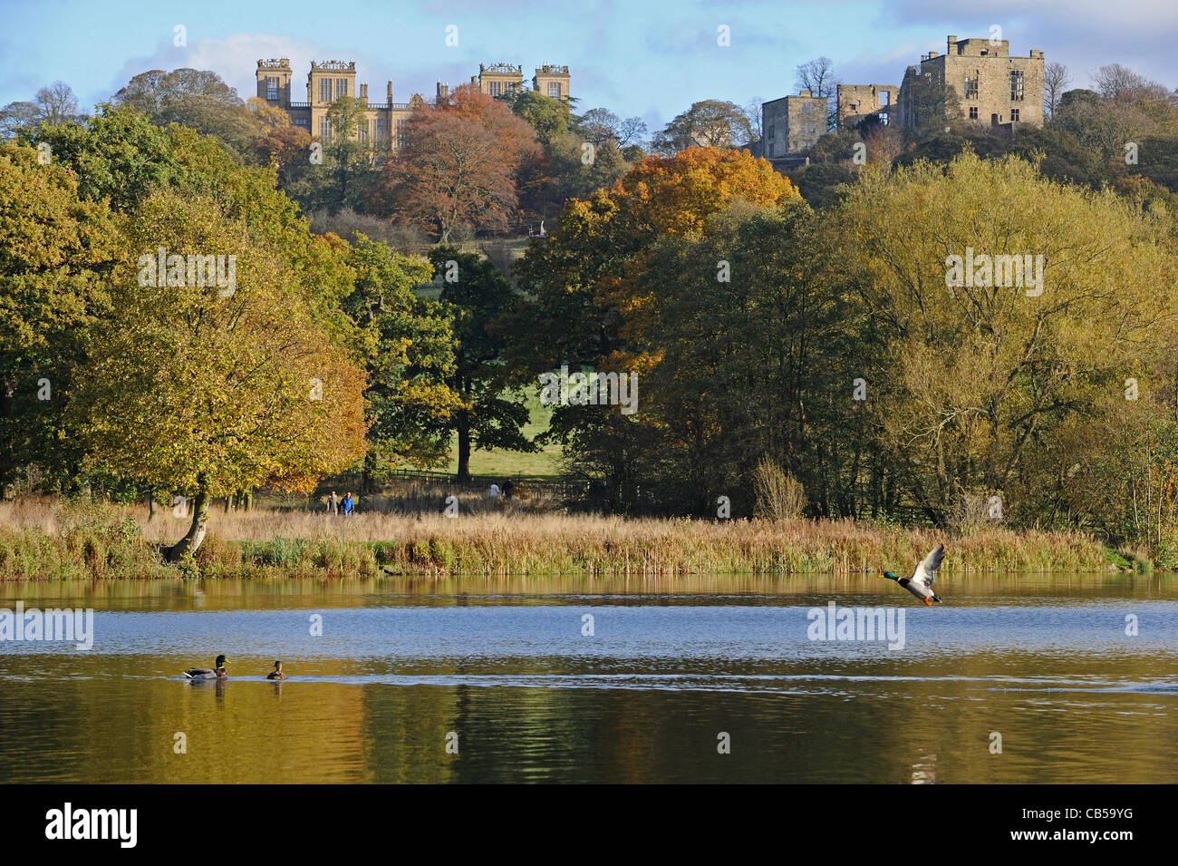 Hardwick hall country park hi-res stock photography and images - Alamy