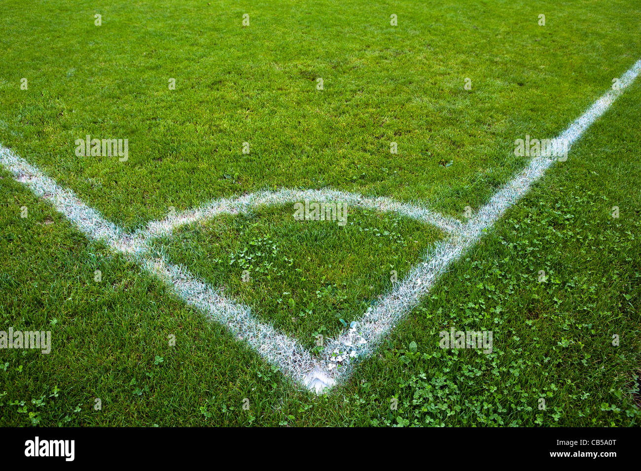 Sport grounds concept - Football/soccer pitch (color toned image Stock ...
