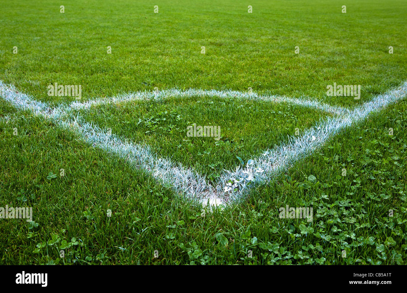Sport grounds concept - Football/soccer pitch (color toned image Stock ...