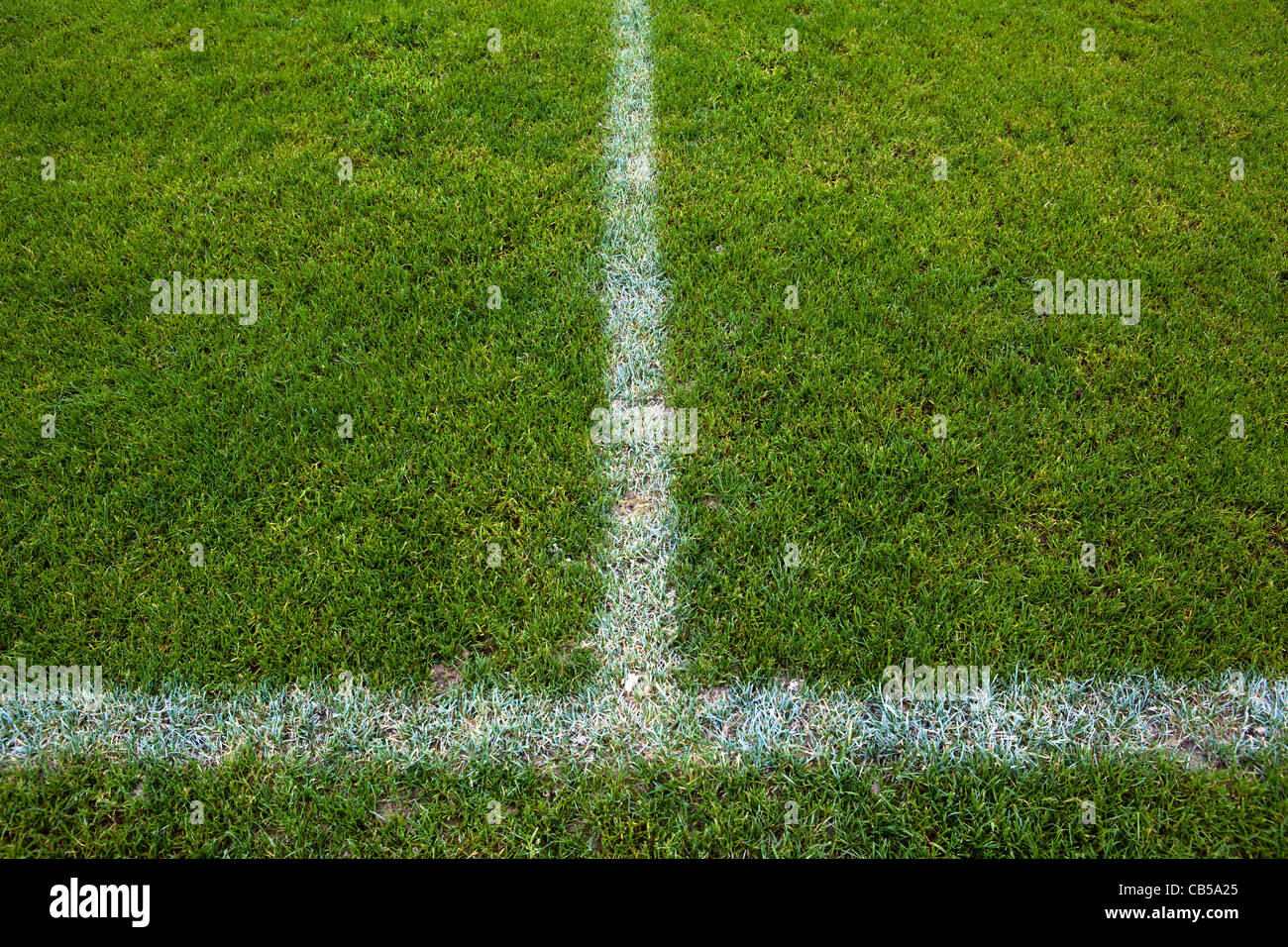 Sport grounds concept - Football/soccer pitch (color toned image Stock ...