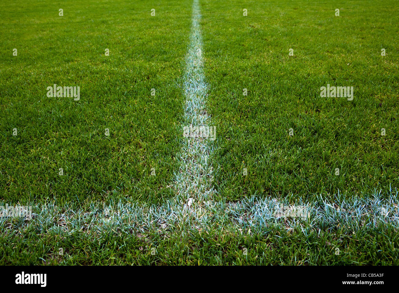 Sport grounds concept - Football/soccer pitch (color toned image Stock ...