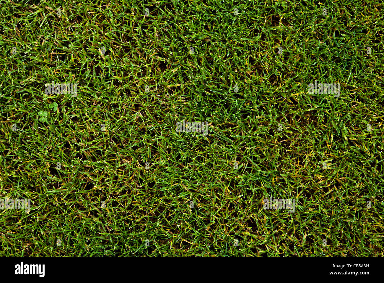 Sport grounds concept - Football/soccer pitch (color toned image Stock ...
