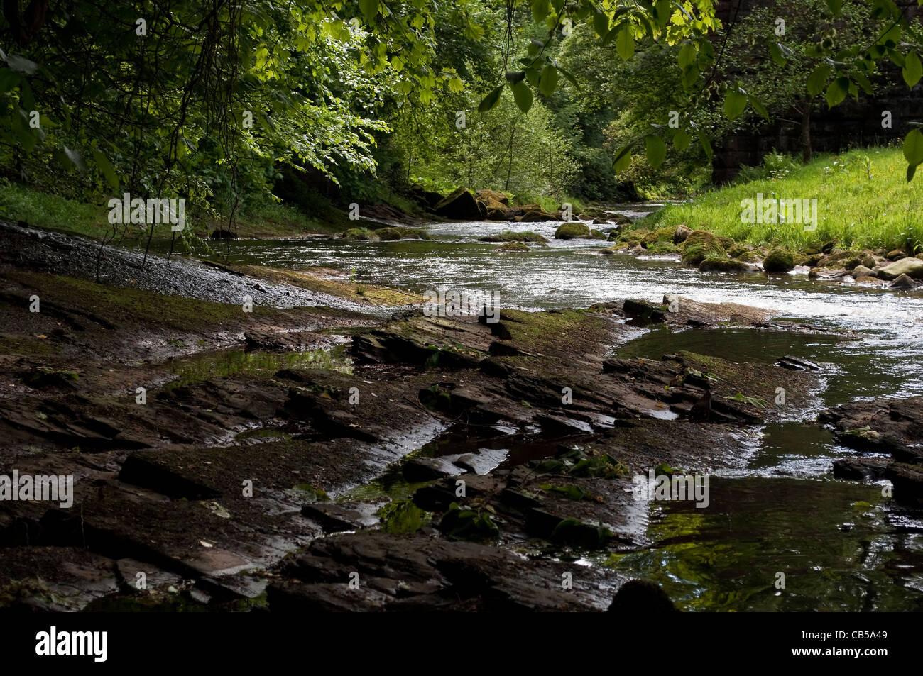 The River Dane at Danebridge, Cheshire Stock Photo - Alamy