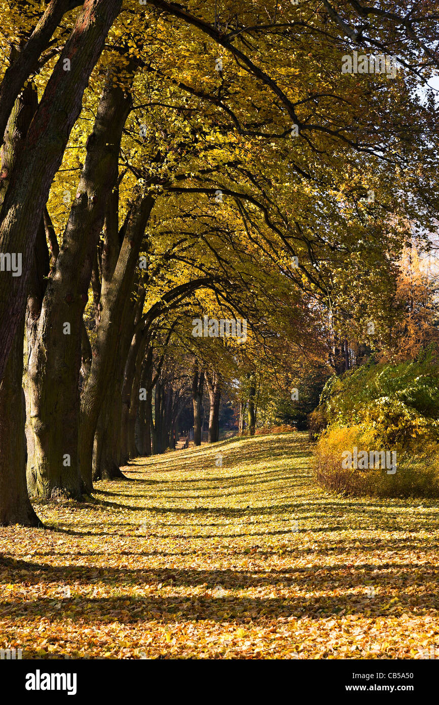 Illuminated pathway hi-res stock photography and images - Alamy