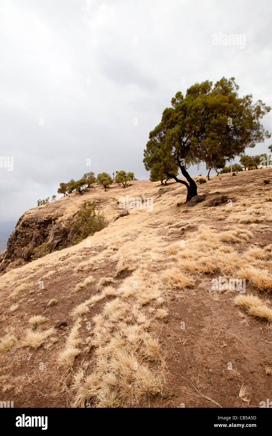 Dramatic landscape along the Northern Escarpment in the Simien ...
