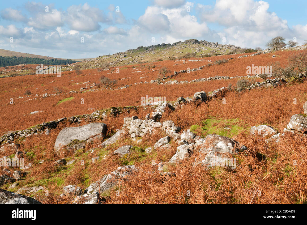 Devon dry stone walls hi-res stock photography and images - Alamy