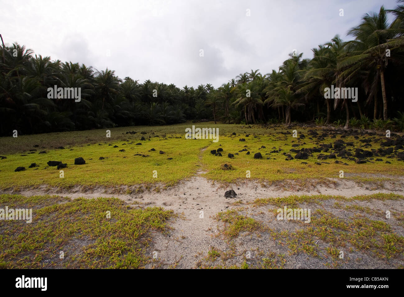 a beautiful hill with trees and grass Stock Photo - Alamy