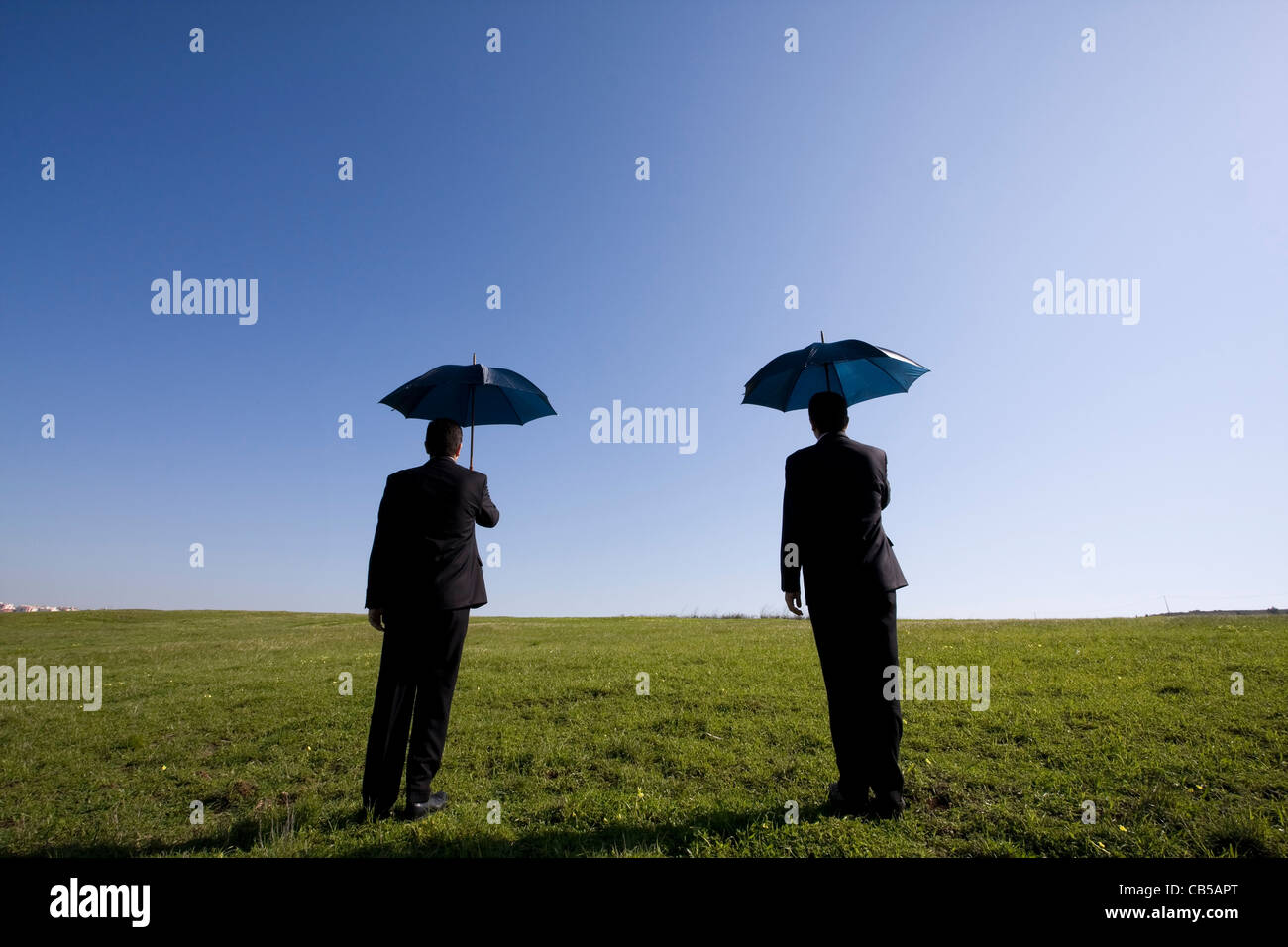 Choose the best insurance agent outside Stock Photo - Alamy