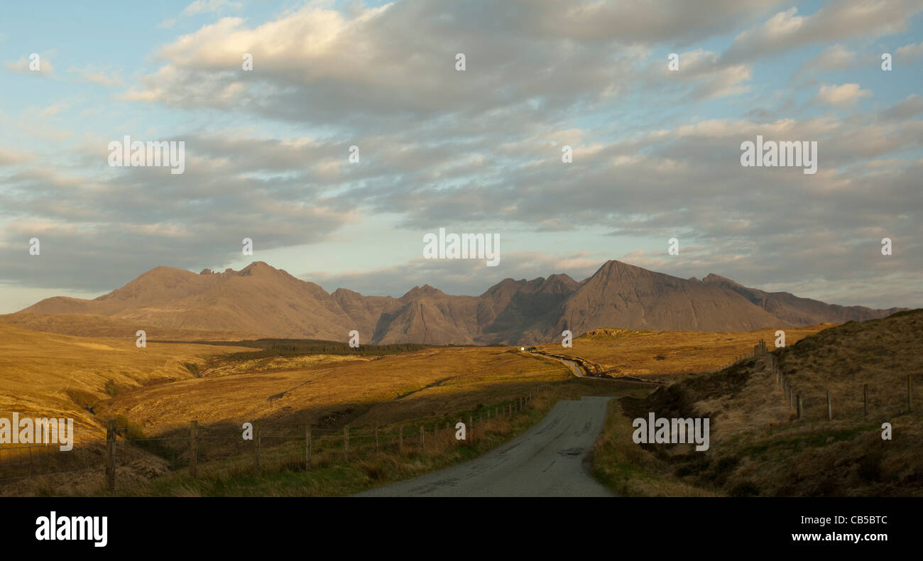 Cullin hi-res stock photography and images - Alamy