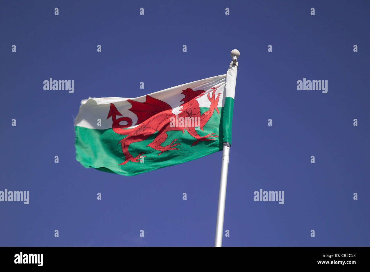 Welsh flag pole hi-res stock photography and images - Alamy