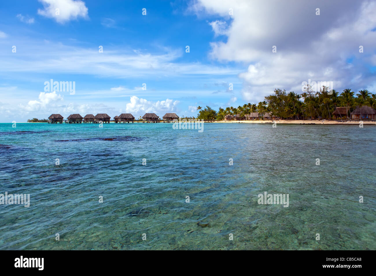 seacoast with palm trees and small houses on water Stock Photo - Alamy