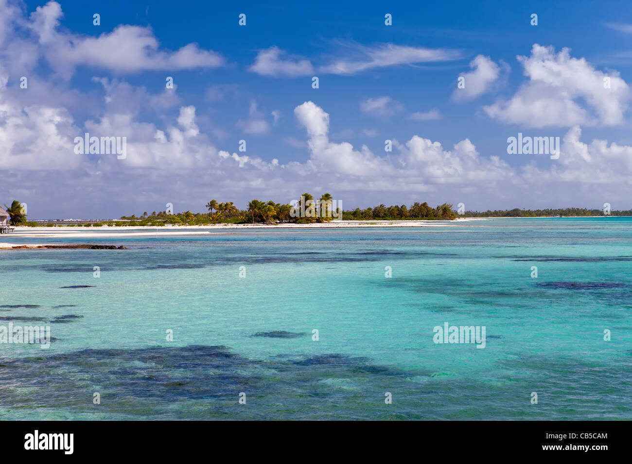 seacoast with palm trees and small houses on water Stock Photo - Alamy