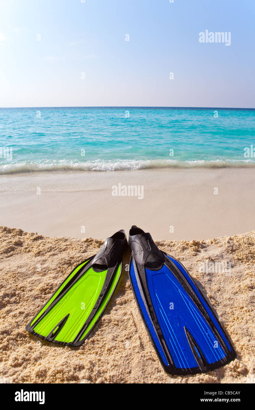 different colors flippers on sand at sea edge Stock Photo - Alamy