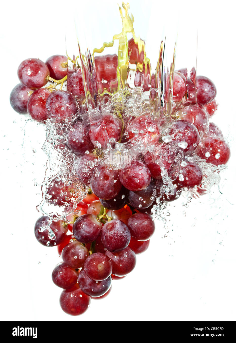 Grapes cluster in water splashes Stock Photo - Alamy