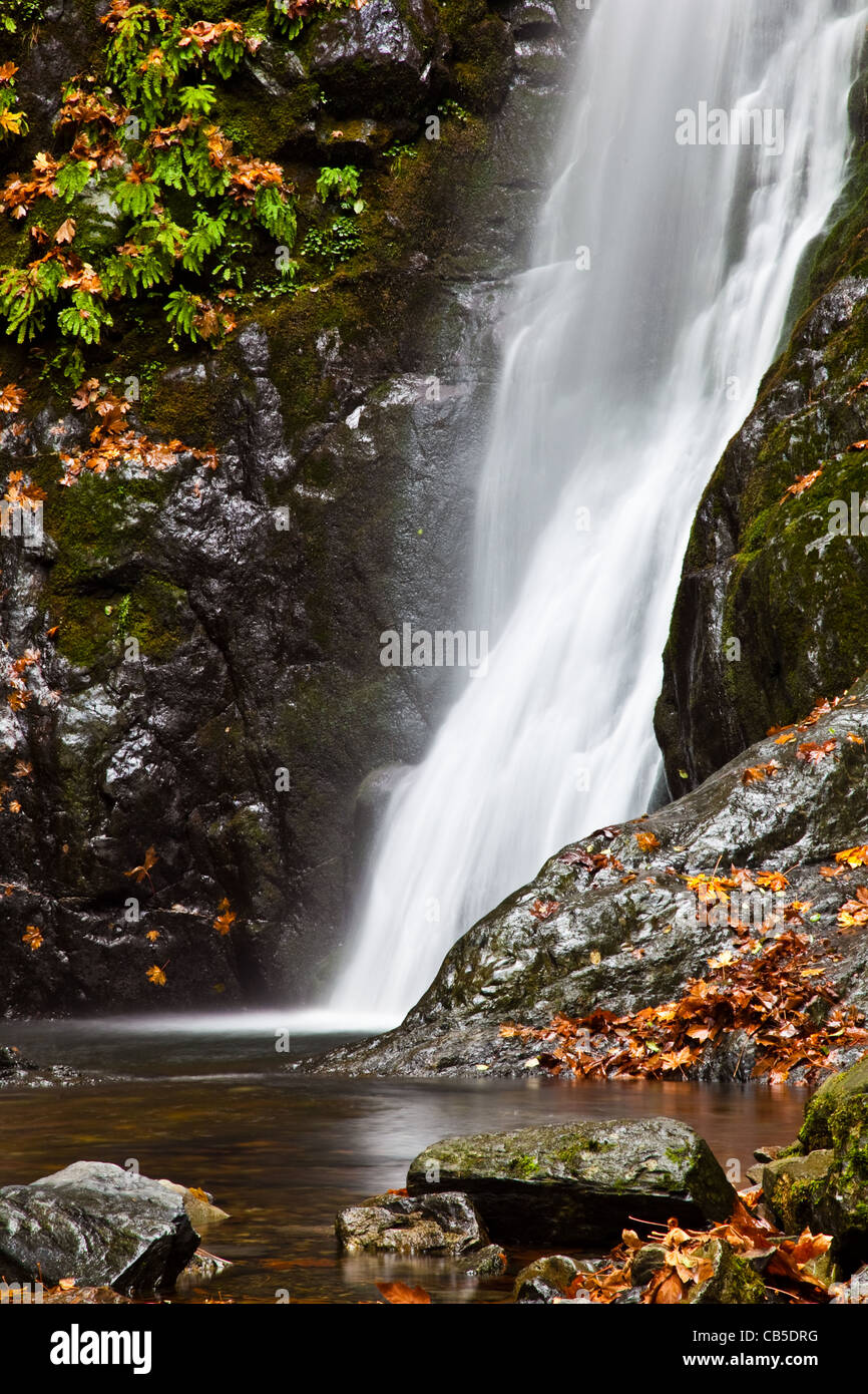 Falling water and spray at the foot of a waterfall, Vancouver Island ...