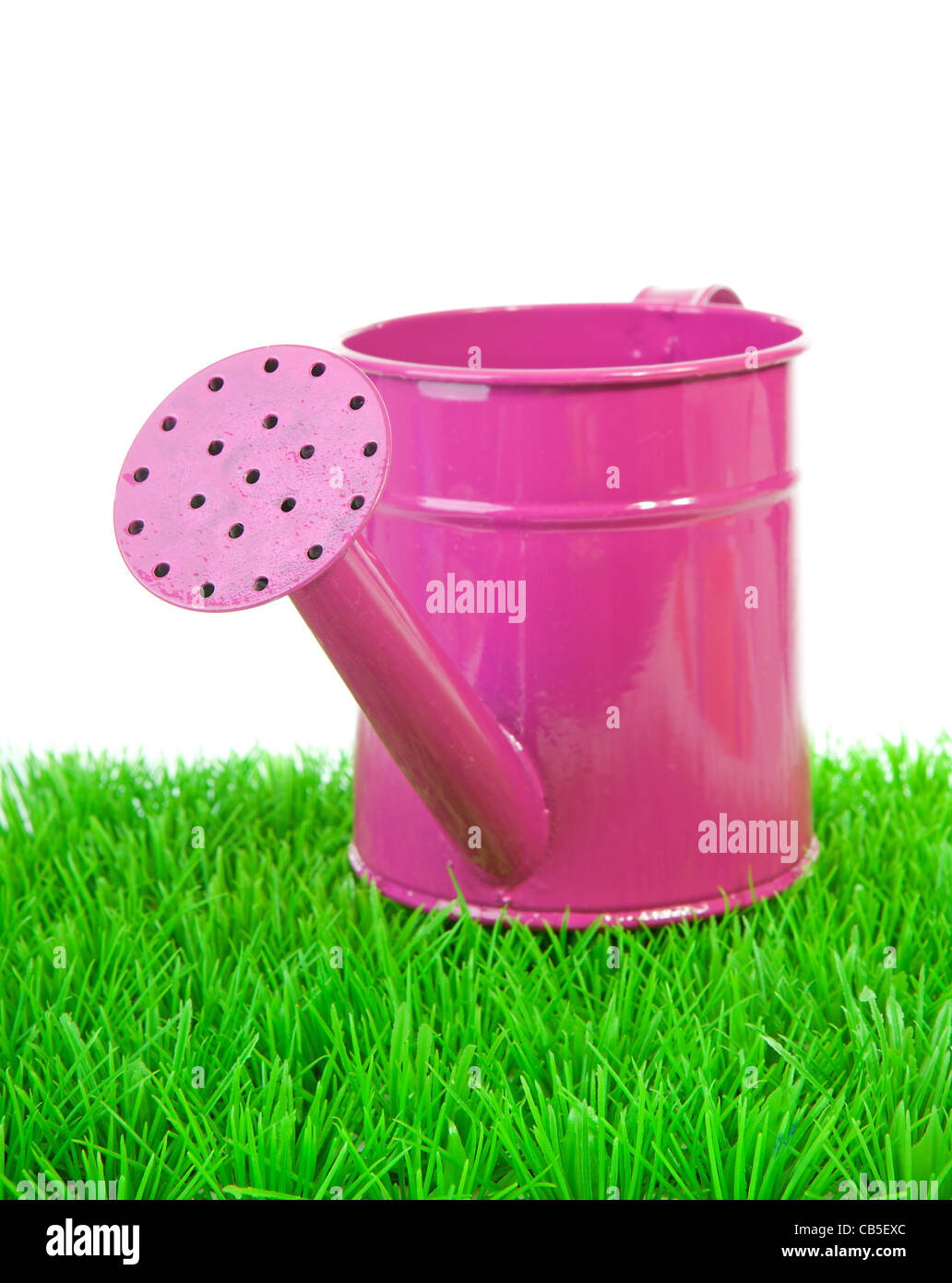 Pink watering can on grass over white background Stock Photo - Alamy