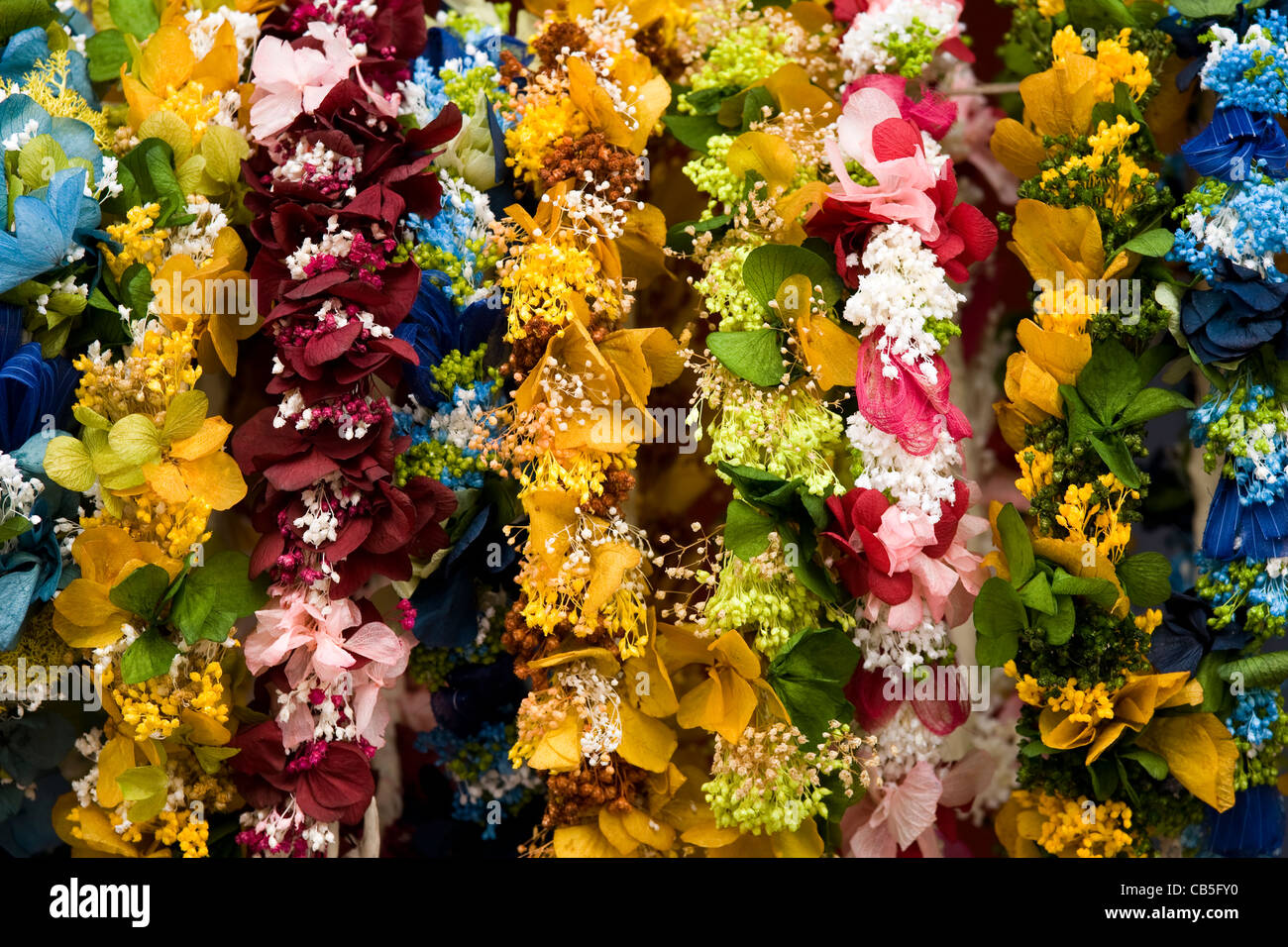 Bright background rainbow colored flower hi-res stock photography and ...