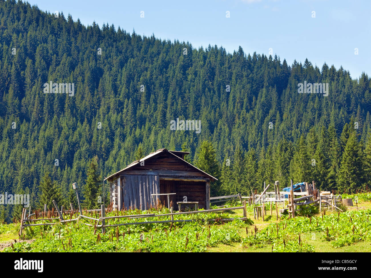 Summer mountain plateau landscape with farm shed on hill top Stock ...