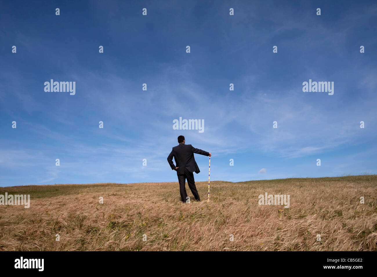 businessman cleaning the field with a broom Stock Photo - Alamy
