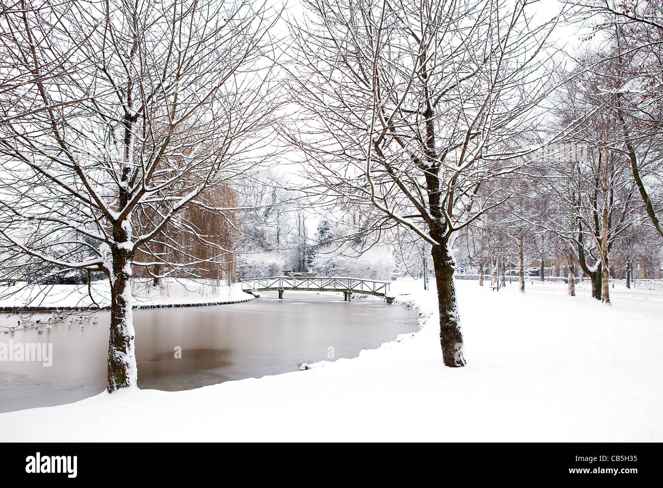 Dutch park in wintertime covered with snow Stock Photo - Alamy