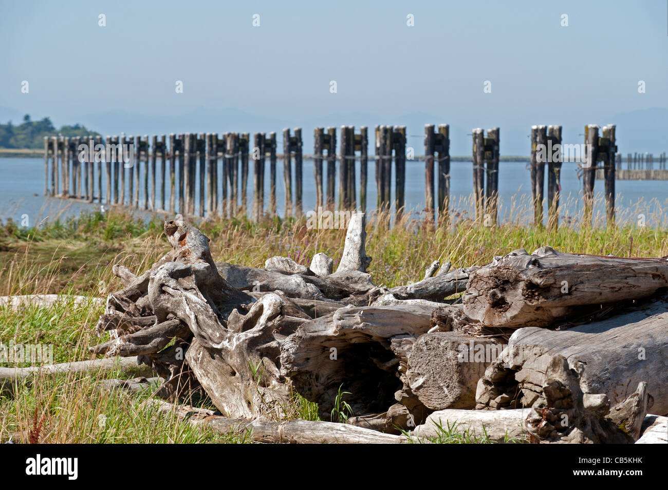 Old wood and logs on the beach Stock Photo - Alamy