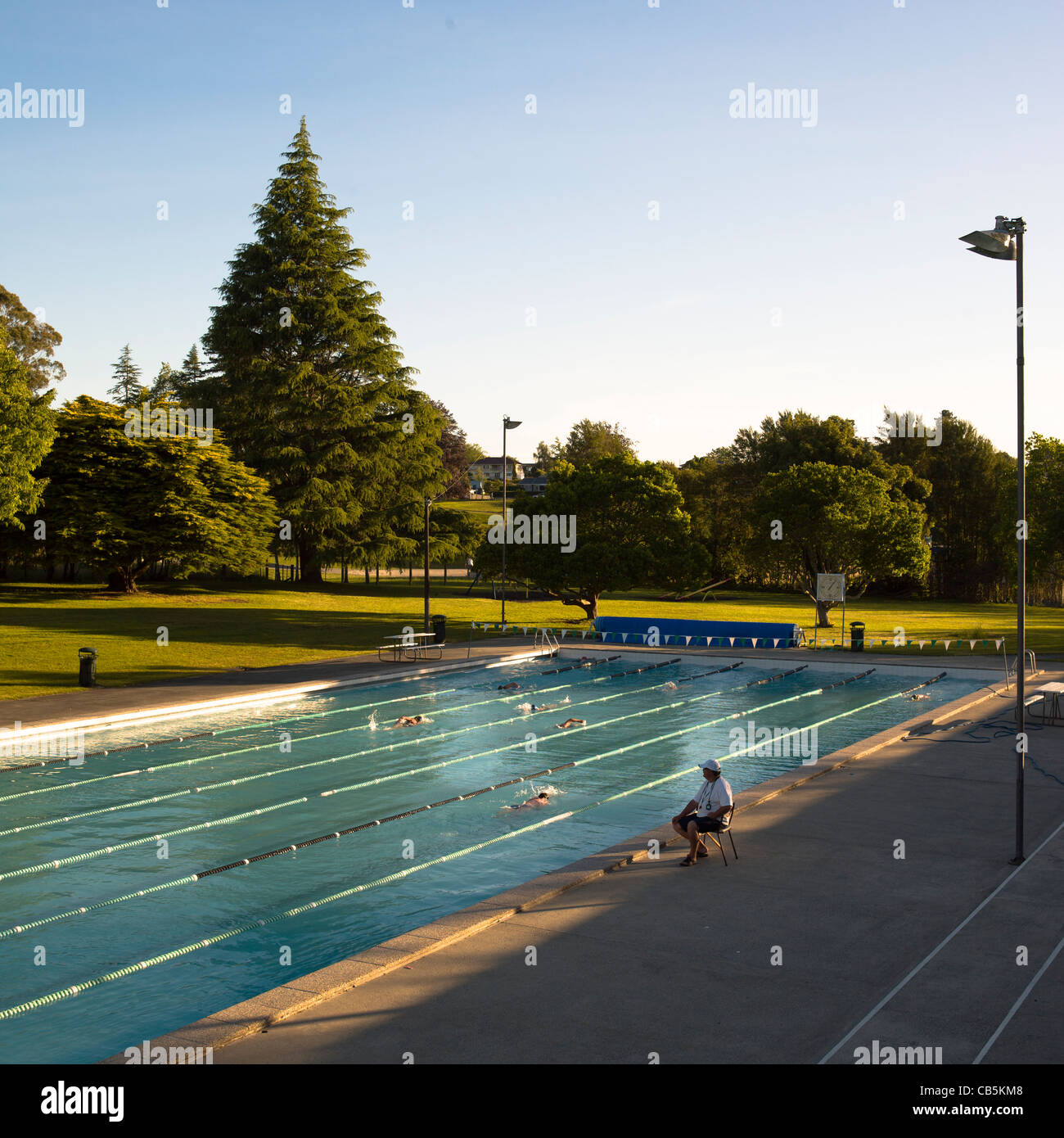 Senior adults swimming in outdoor 50 meter pool with evening sunlight ...