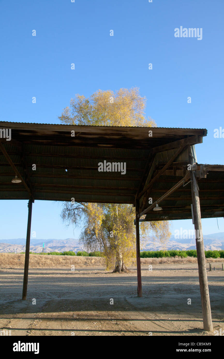 Packing shed hi-res stock photography and images - Alamy