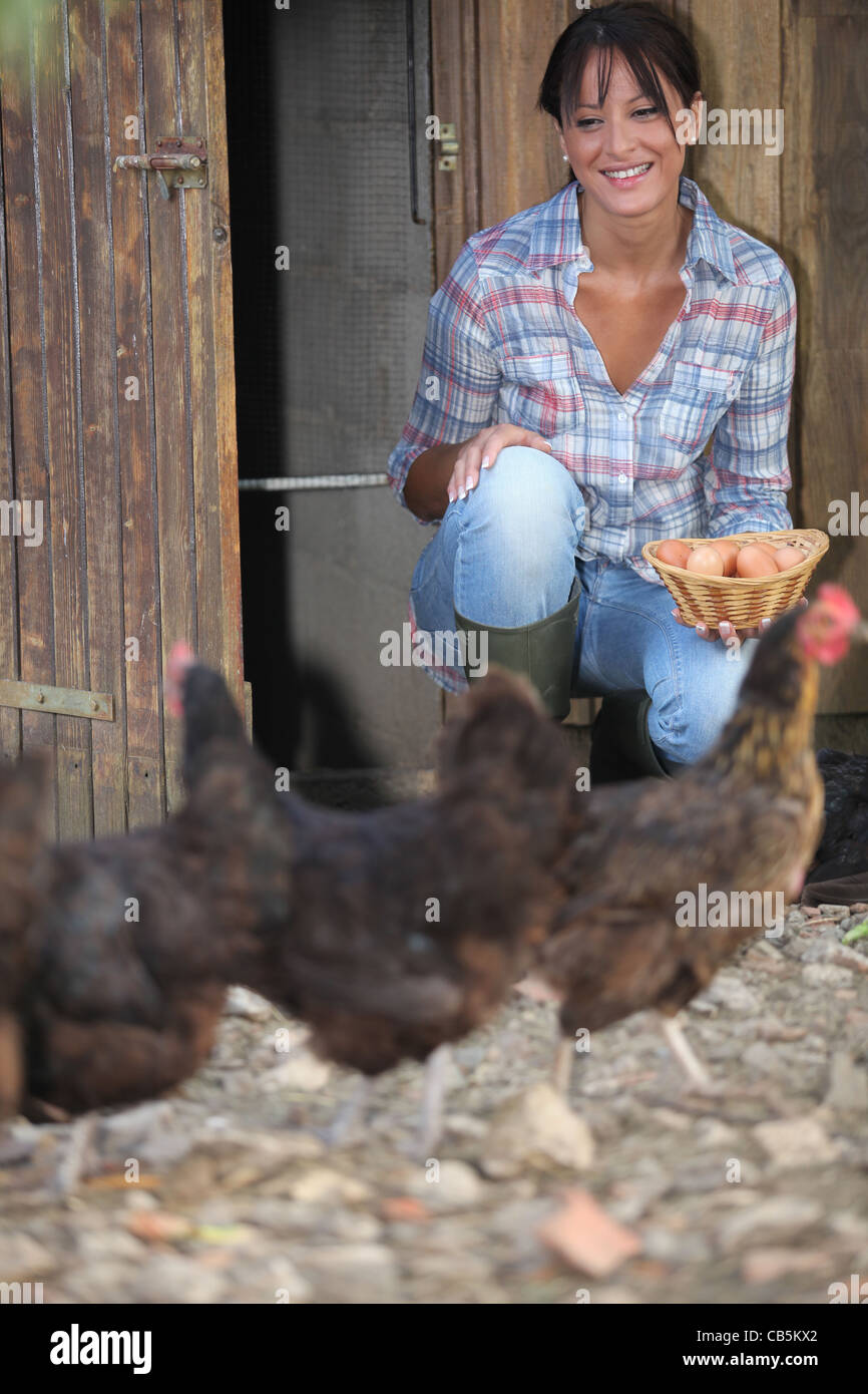 a woman gathering eggs in a hen house Stock Photo - Alamy