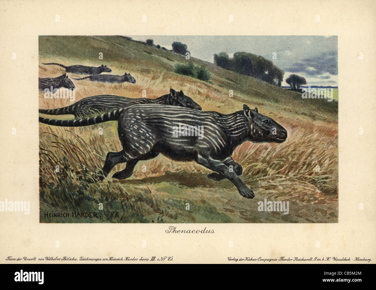 Middle eocene hi-res stock photography and images - Alamy