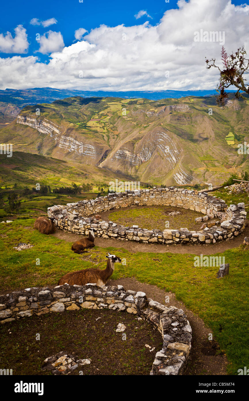Kuélap peru hi-res stock photography and images - Alamy