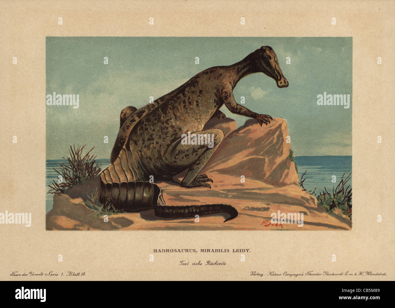 Hadrosaurus hi-res stock photography and images - Alamy