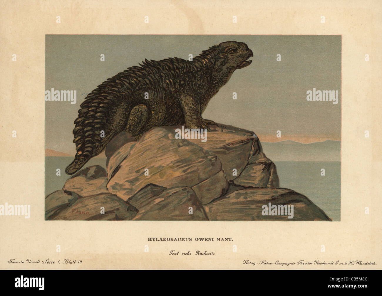 The Hylaeosaurus High Resolution Stock Photography and Images - Alamy