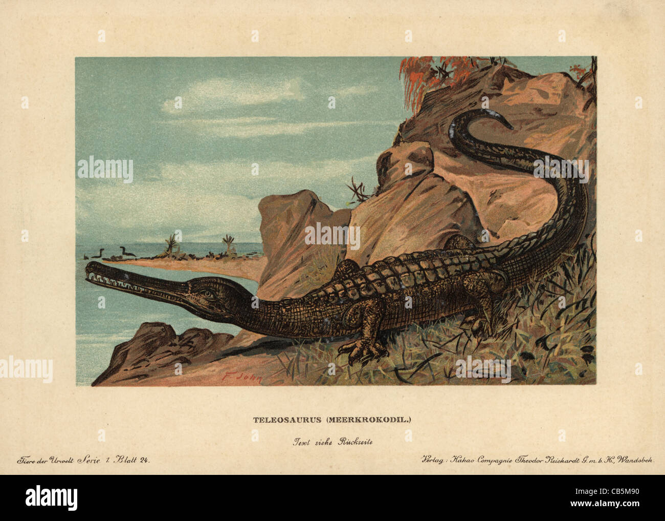 Dinosaur teleosaurus hi-res stock photography and images - Alamy