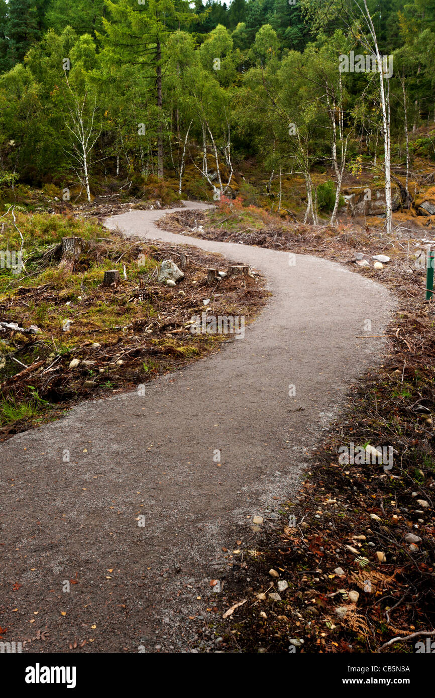 Forest Footpath near Rogi Falls, Ross & Cromerty, Scotland Stock Photo ...