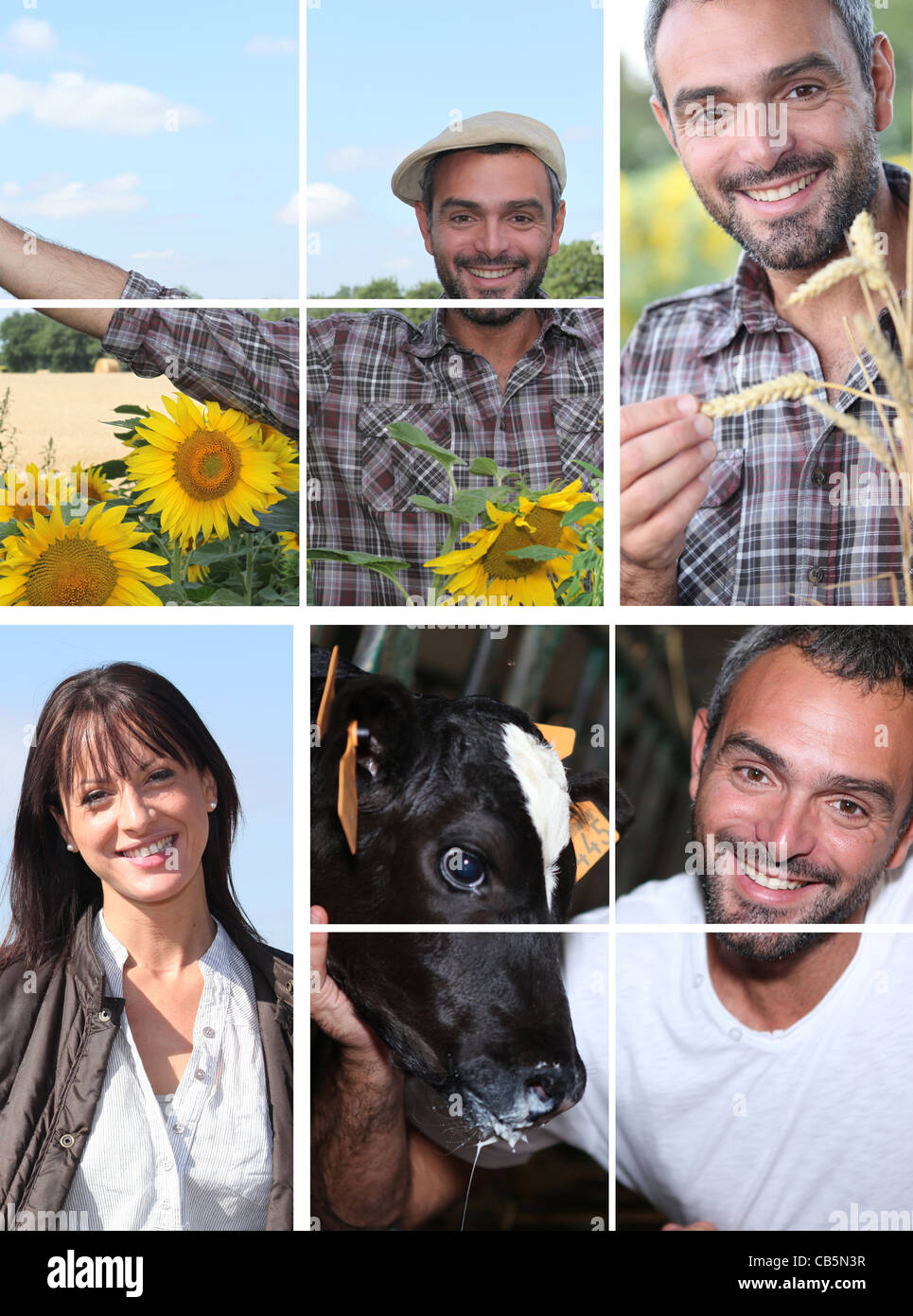 Collage illustrating life on the farm Stock Photo - Alamy