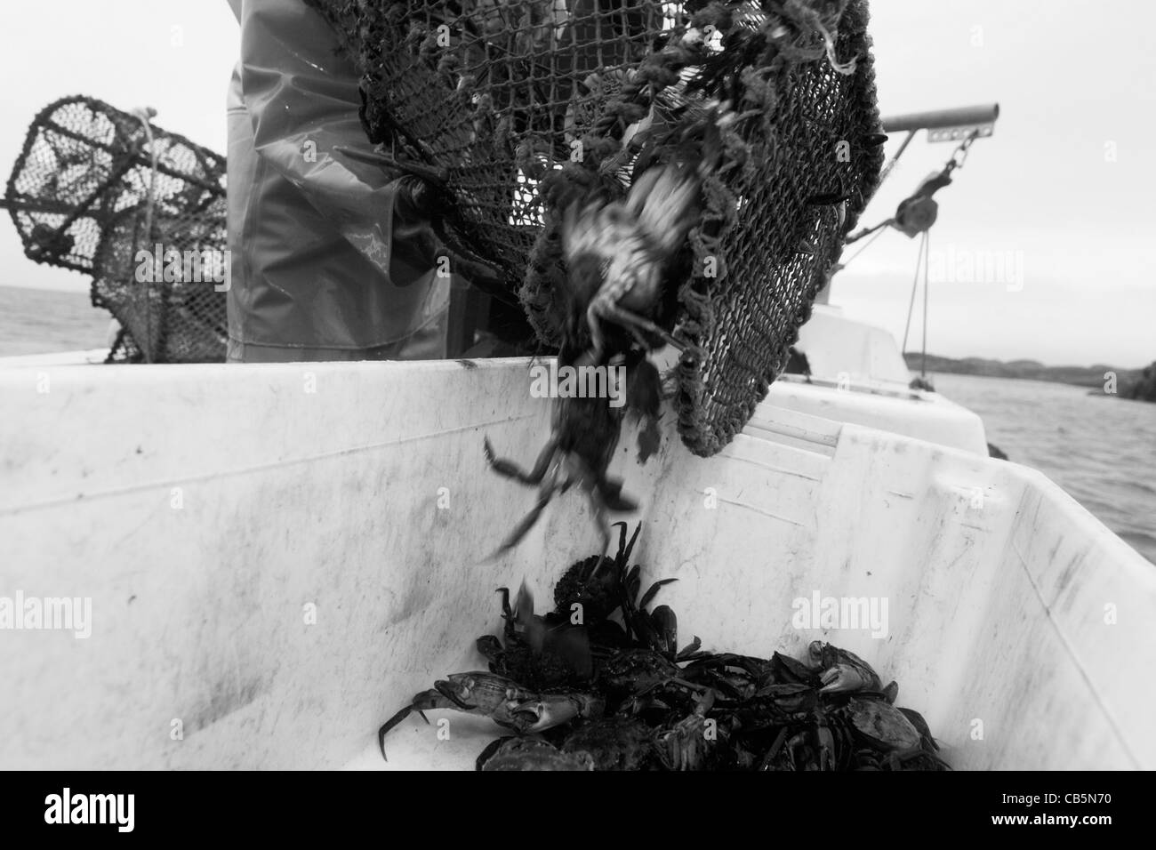 Scottish crabs Black and White Stock Photos & Images - Alamy