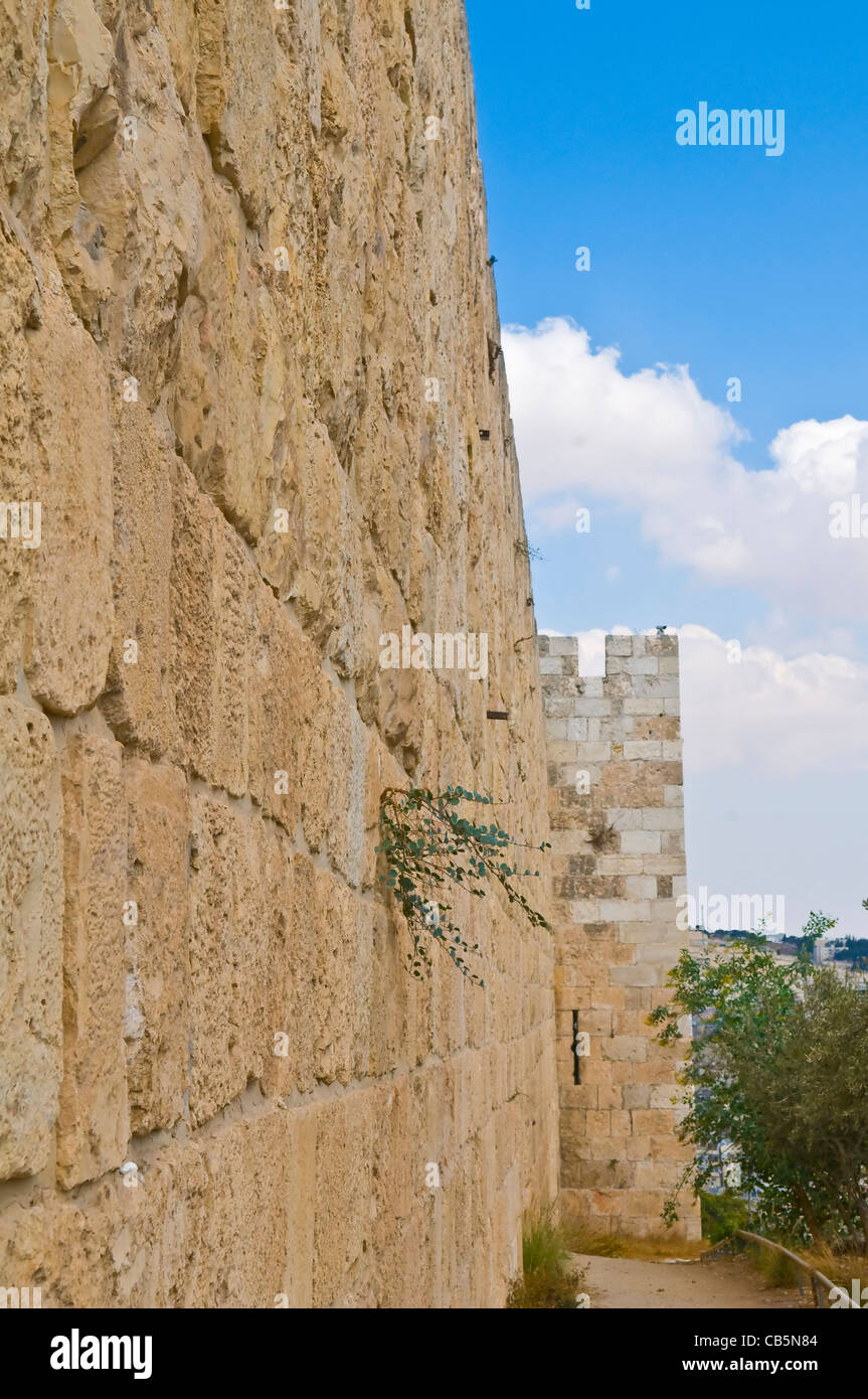 The wall of old Jerusalem in Israel Stock Photo - Alamy