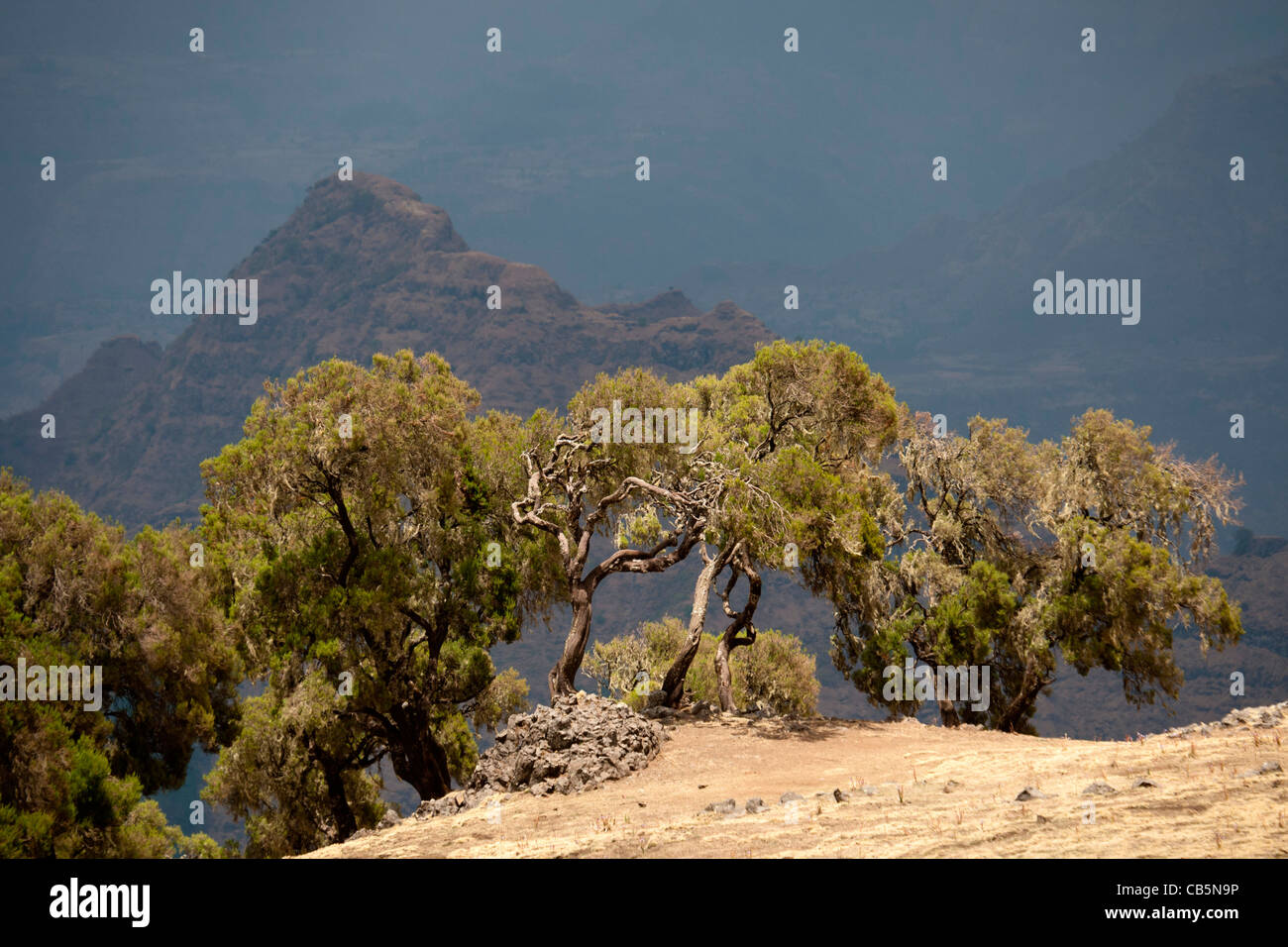 Ethiopian escarpment hi-res stock photography and images - Alamy