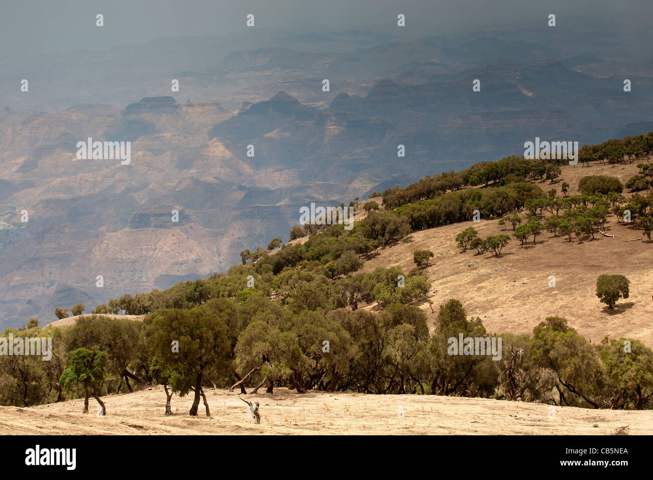 Dramatic landscape along the Northern Escarpment in the Simien ...