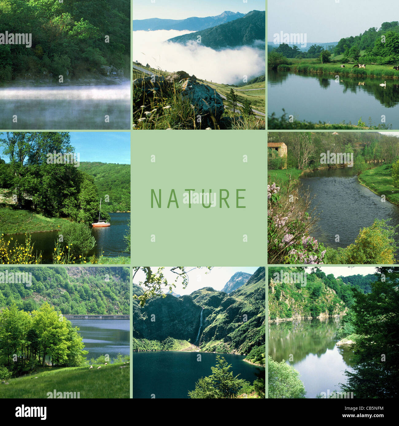 Collage of green landscapes Stock Photo - Alamy